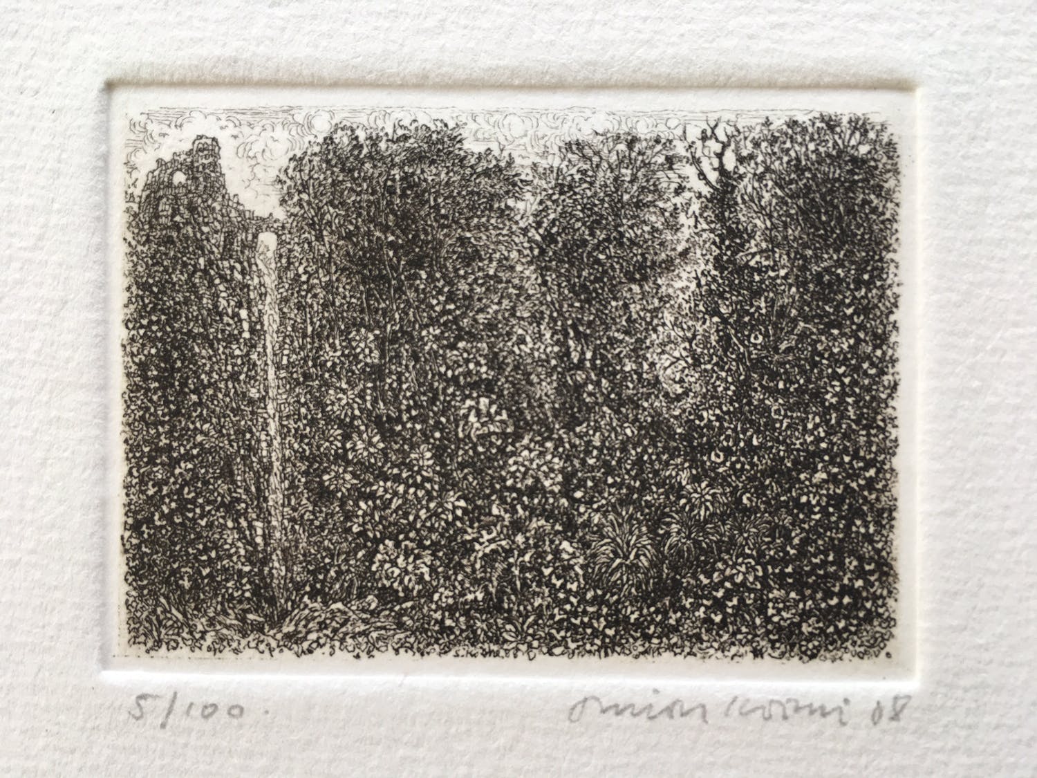 Simon Koene - Tropisch oerwoud met kloof en burcht Verkocht ...