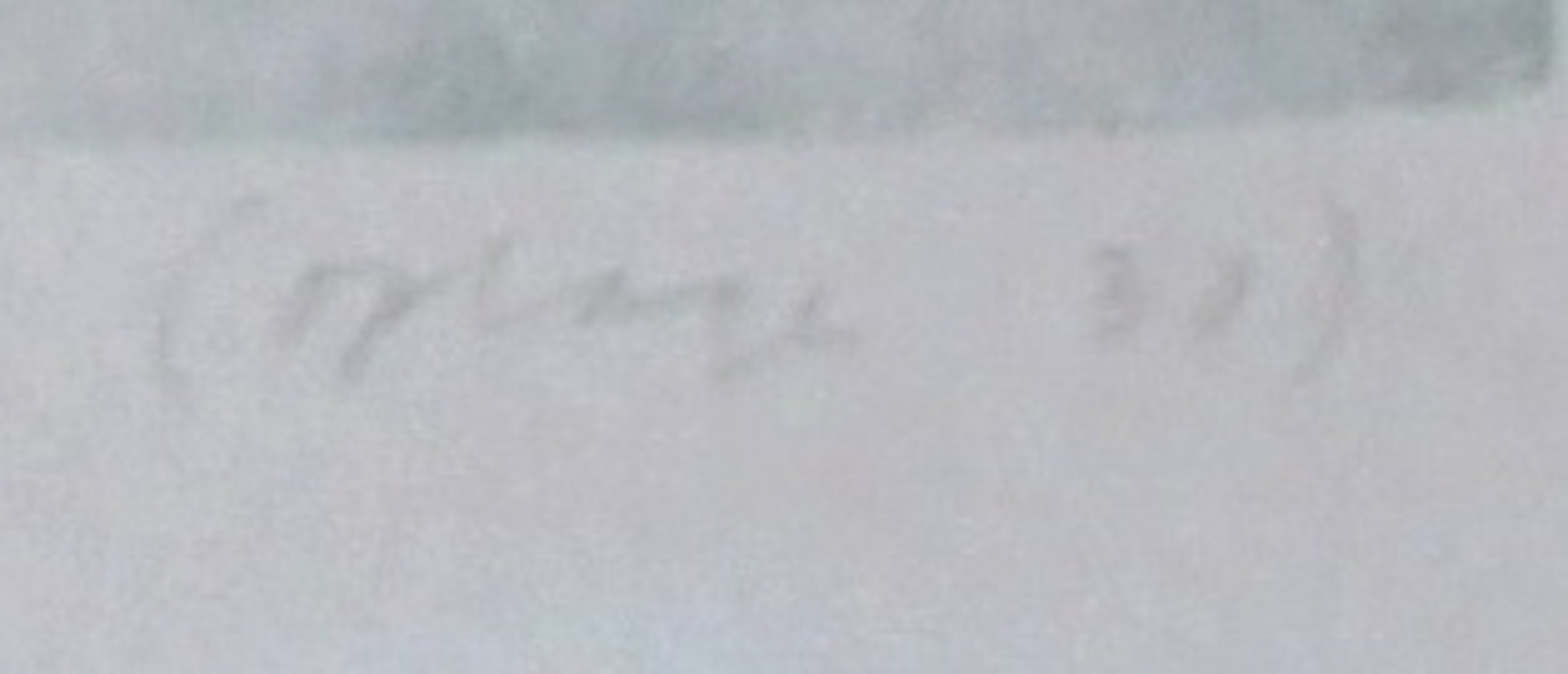 Hans Koopman - litho: Lichte maaltijd - 1983 Verkocht | Kunstveiling.nl