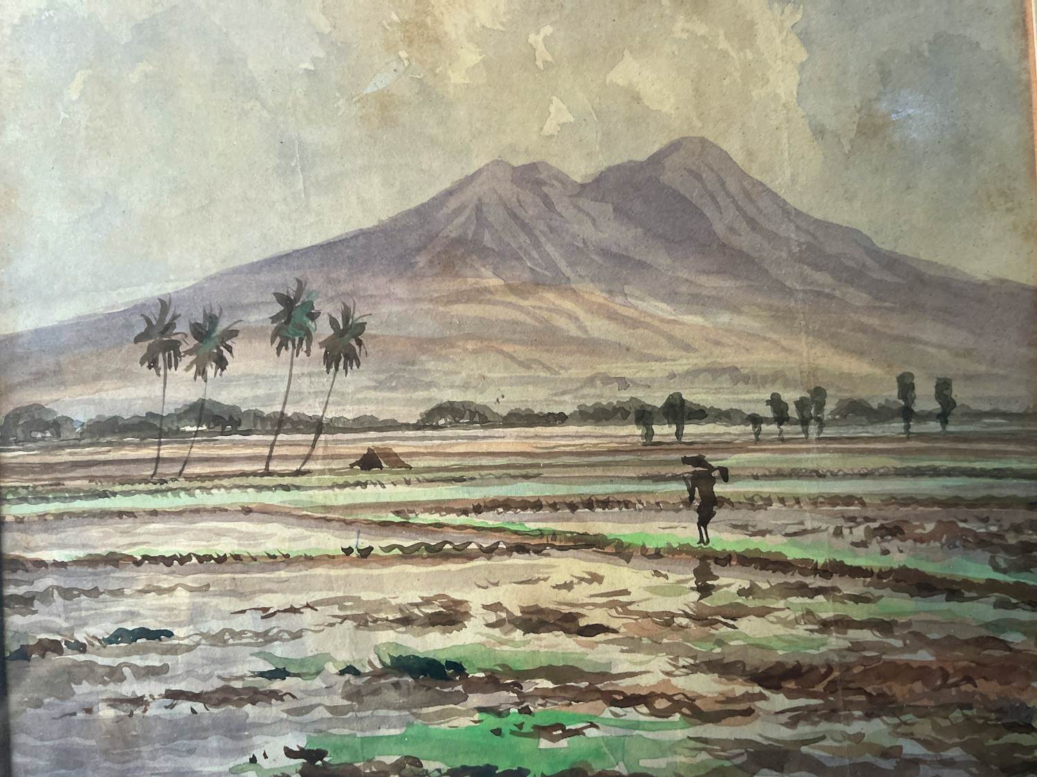 Mochtar Apin - Rijstvelden kopen? Bied vanaf 20! | Kunstveiling.nl