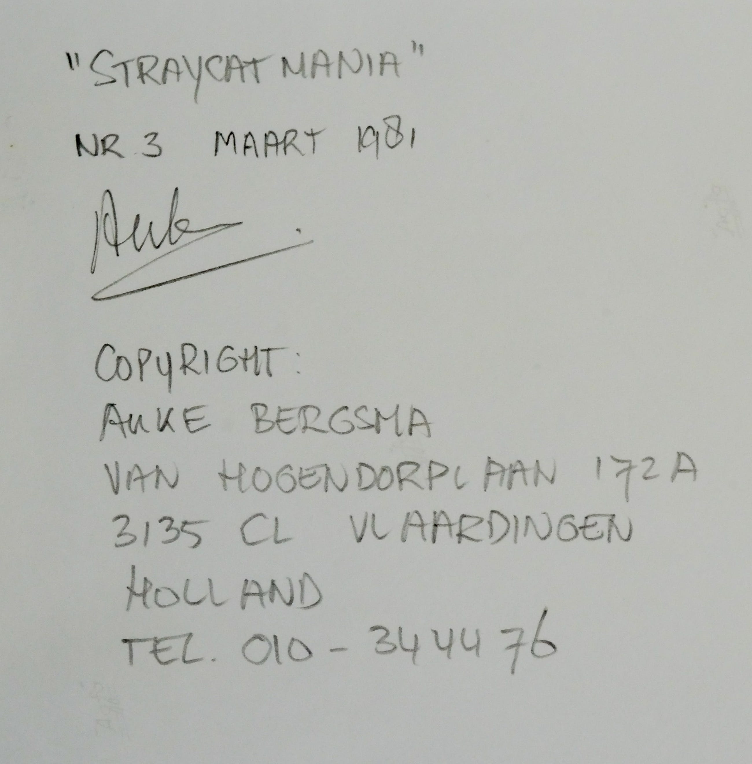 Auke Bergsma - STRAYCAT NANIA Verkocht | Kunstveiling.nl