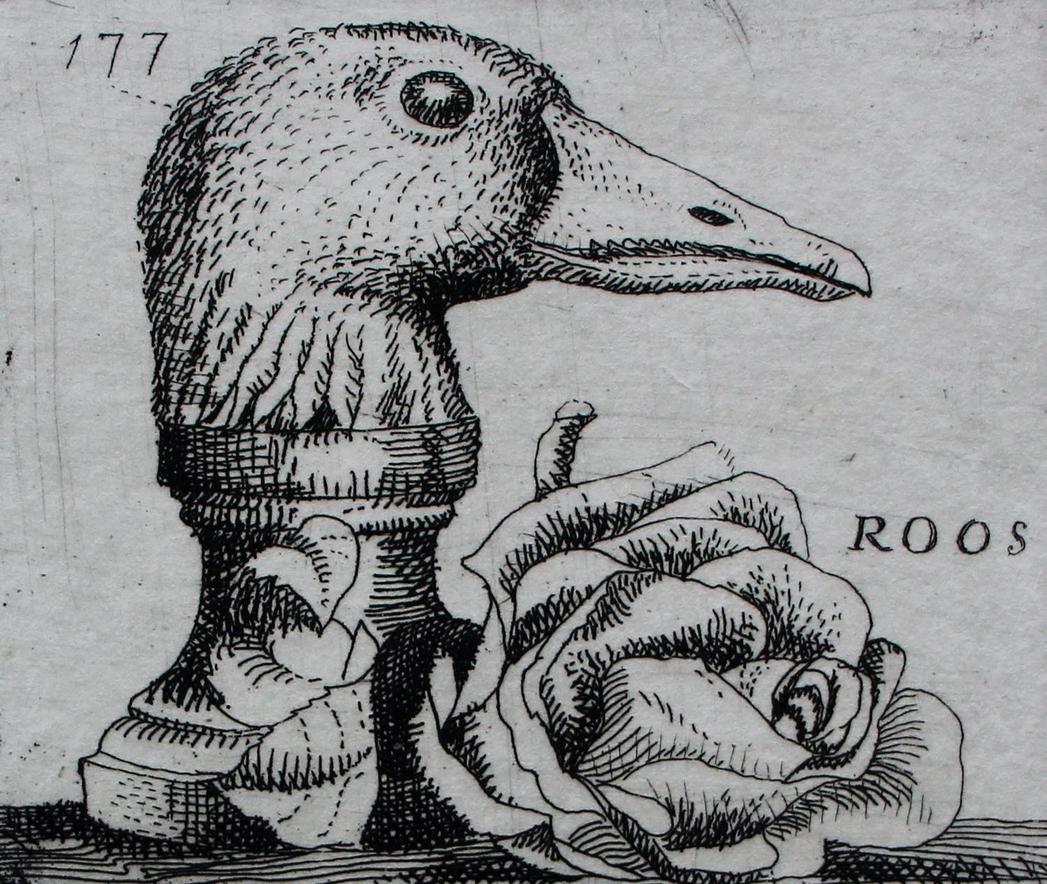 Herman Berserik - ets: eend/roos - oplage slechts 15 stuks Verkocht ...