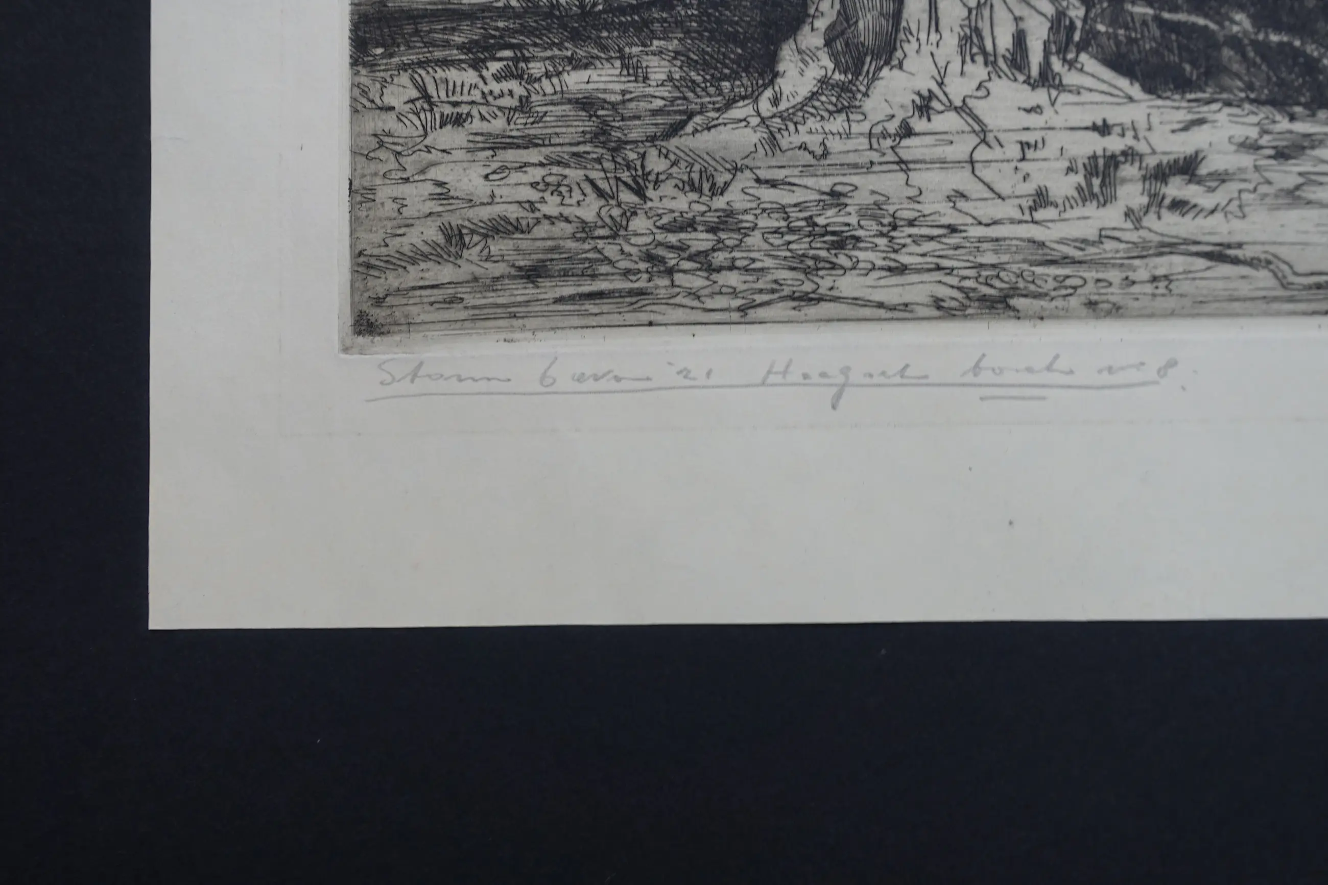 Jan Cornelis van der Ven - STORM 6 NOV. 1921 HAAGSCHE BOSCH NR.8 ...