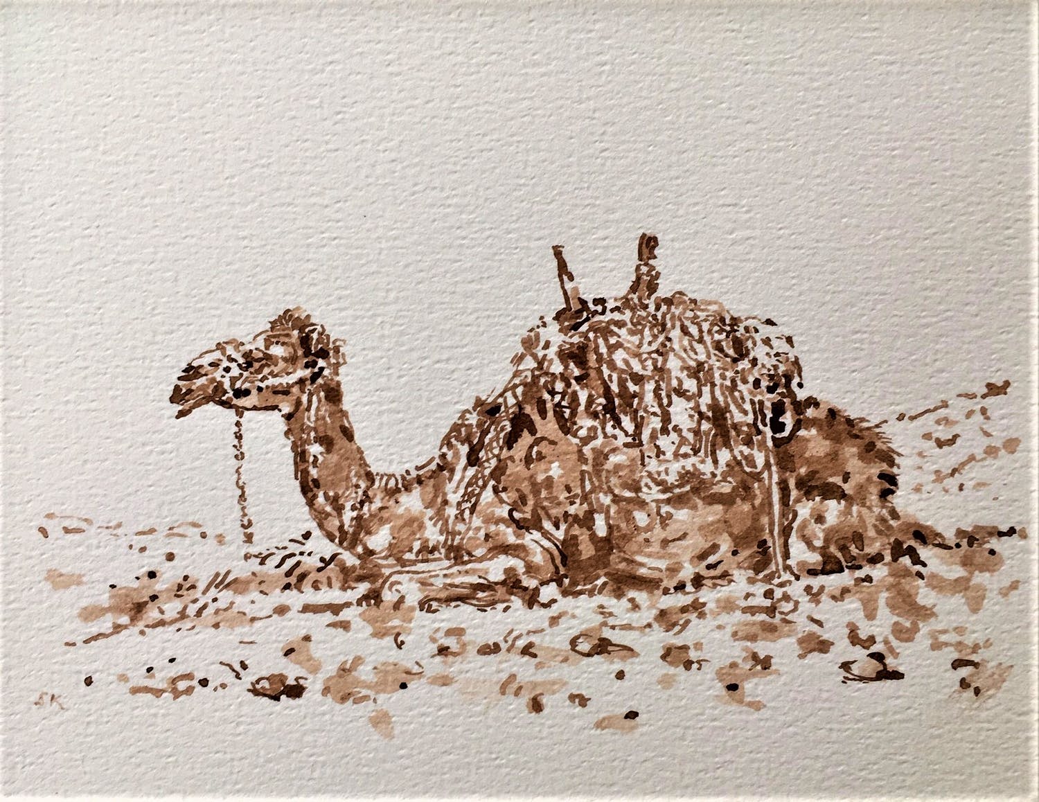 Simon Koene - Zittende kameel (tekening) Verkocht | Kunstveiling.nl