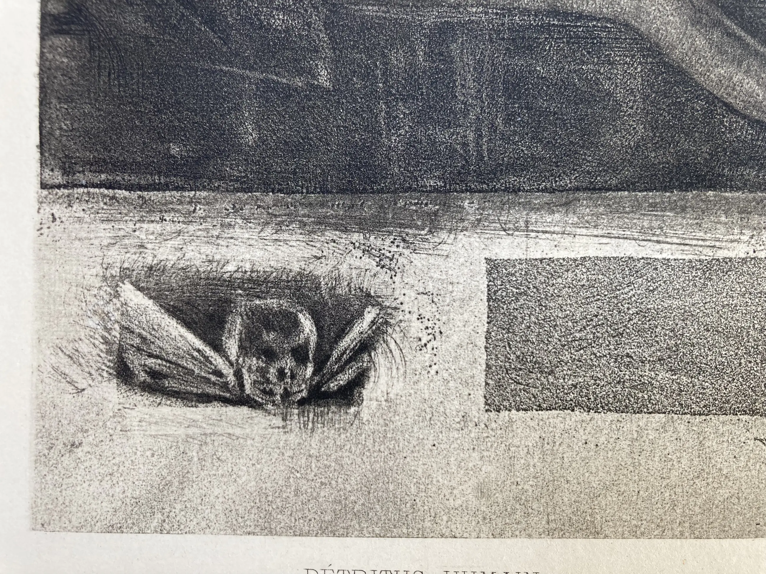 Felicien Rops - Detritus Humain (Human Garbage) Verkocht | Kunstveiling.nl