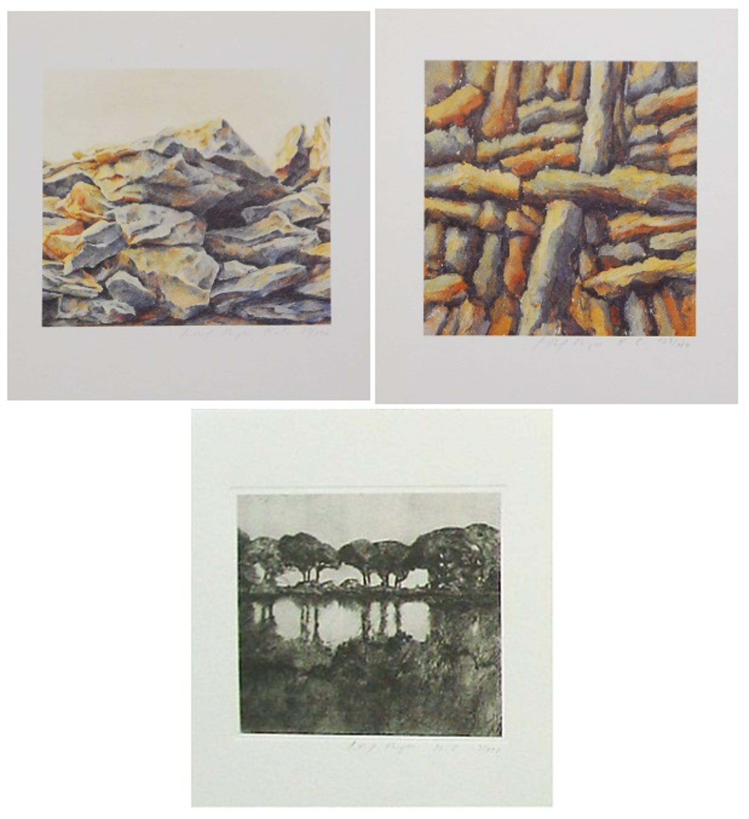 Rolf Meyn - Drie handgesigneerde zeefdrukken: Arctisch Landschap, Bomen, Compositie Verkocht ...