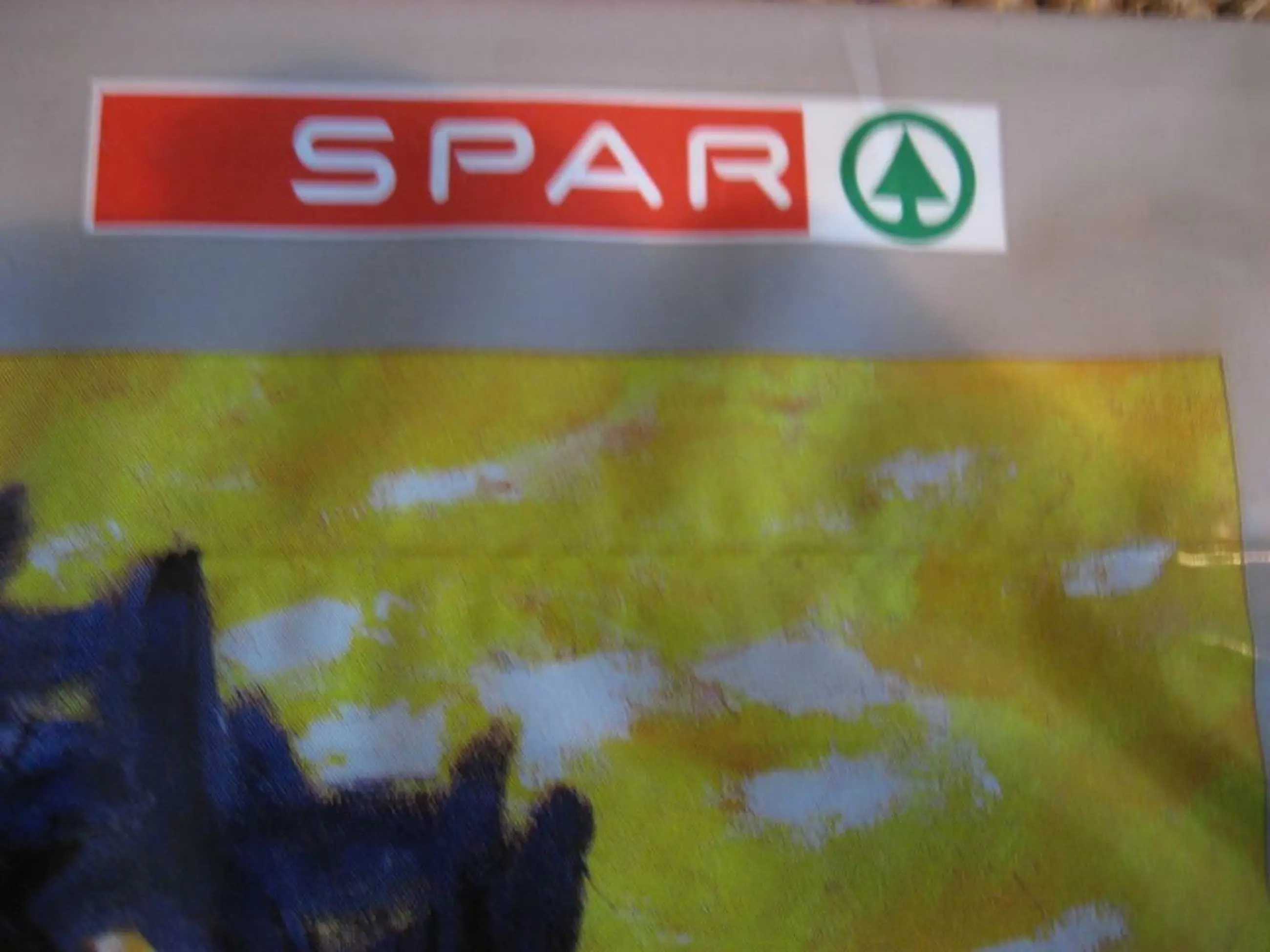 Roger Raveel - Tas met opdruk ' Ontmoeting met de vrouw in het blauw ...