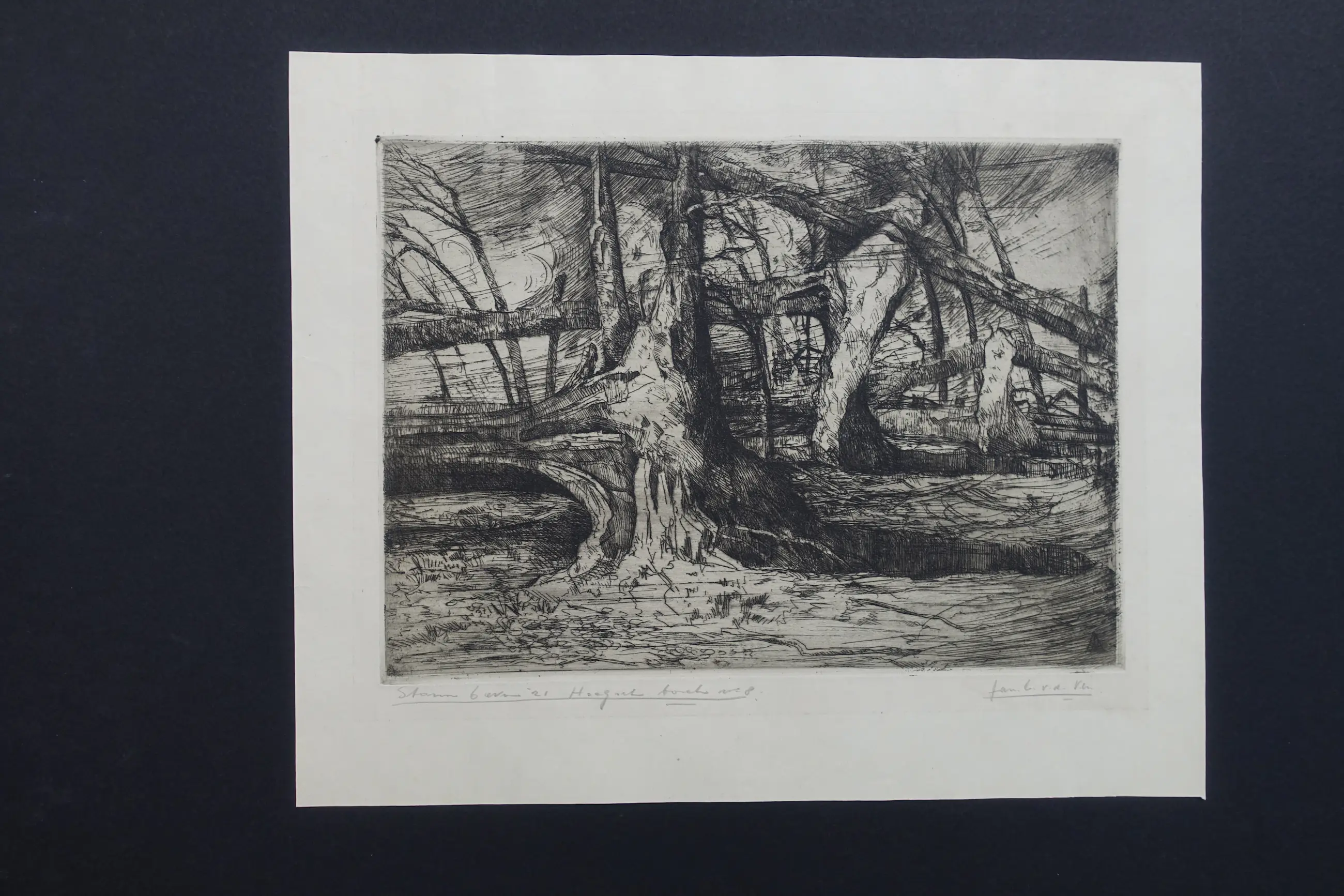 Jan Cornelis van der Ven - STORM 6 NOV. 1921 HAAGSCHE BOSCH NR.8 ...